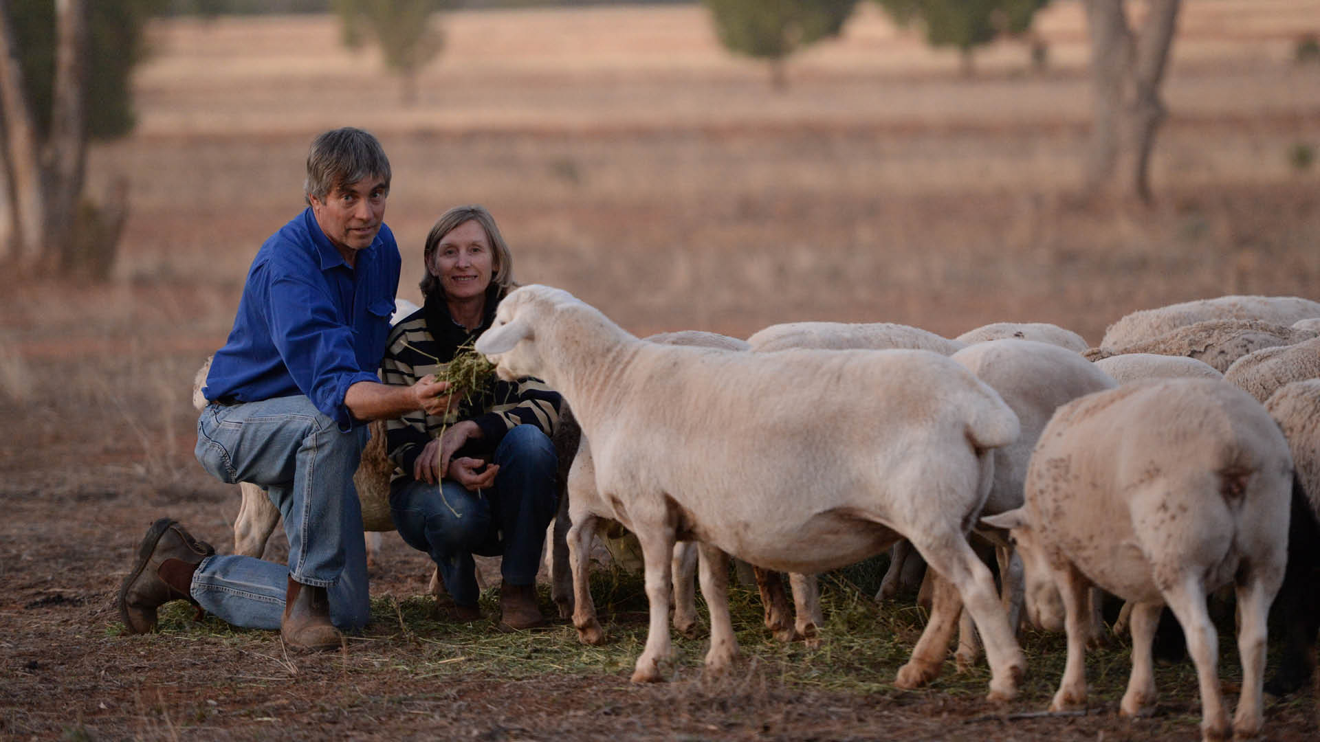 Farm to plate in Cobar • Rotary Down Under