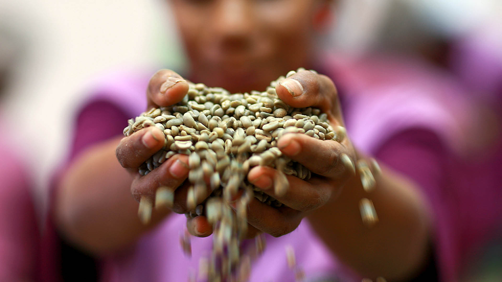 Food and Peace under COVID-19 • Rotary Down Under