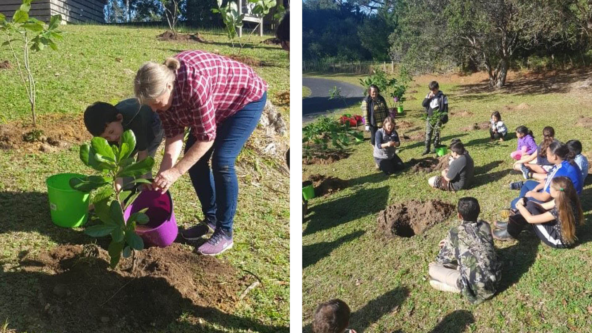 Poipoia te kakano kia puawai Nurture the seed and it will grow • Rotary ...