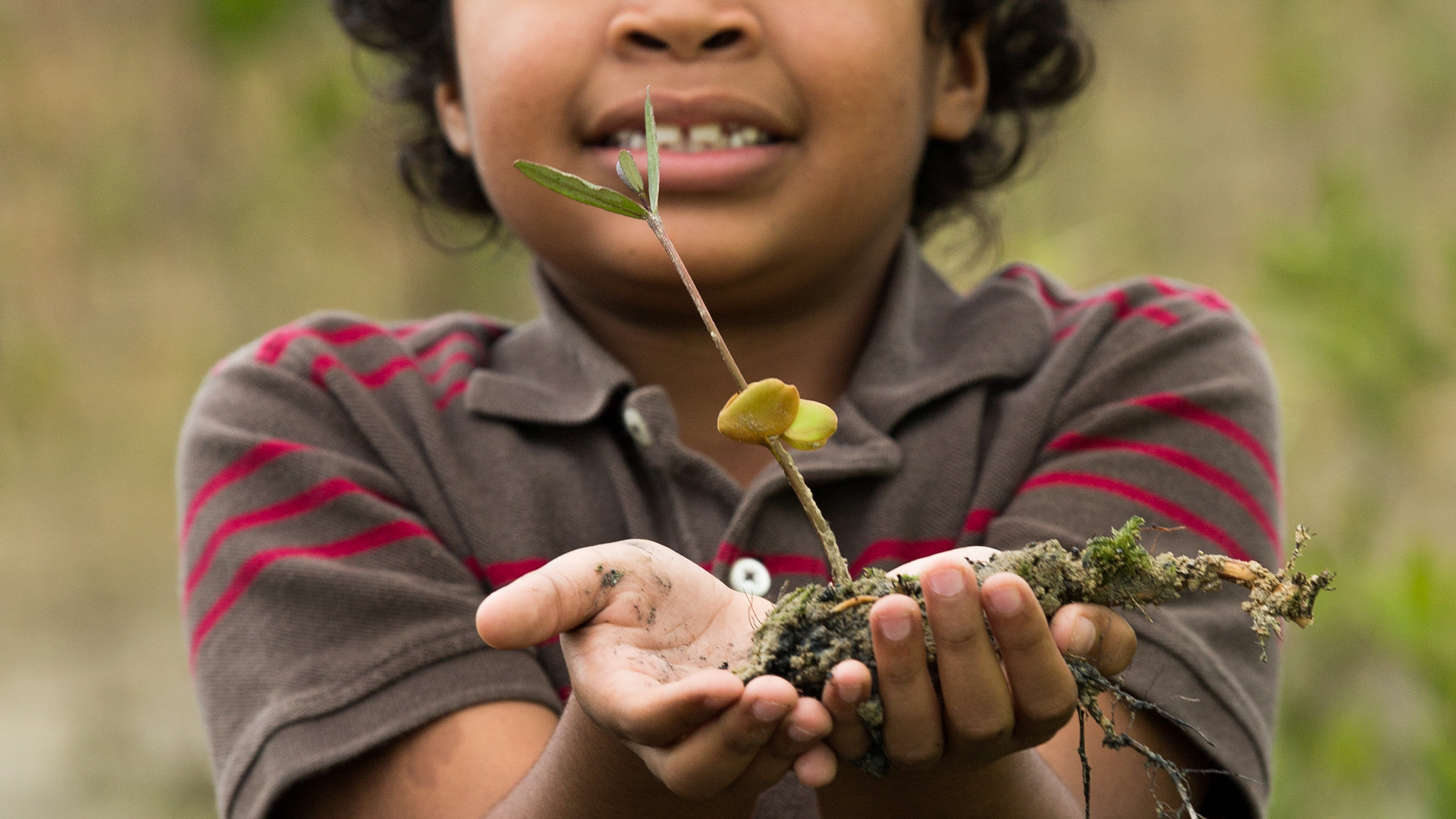 The Great Impact Multiplier • Rotary Down Under