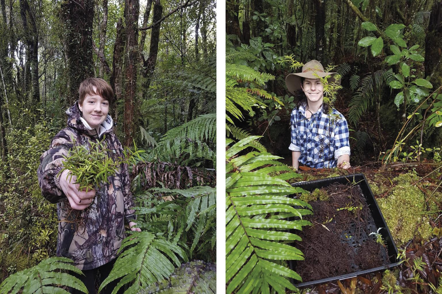 Students Raise 1000 Native Plants • Rotary Down Under