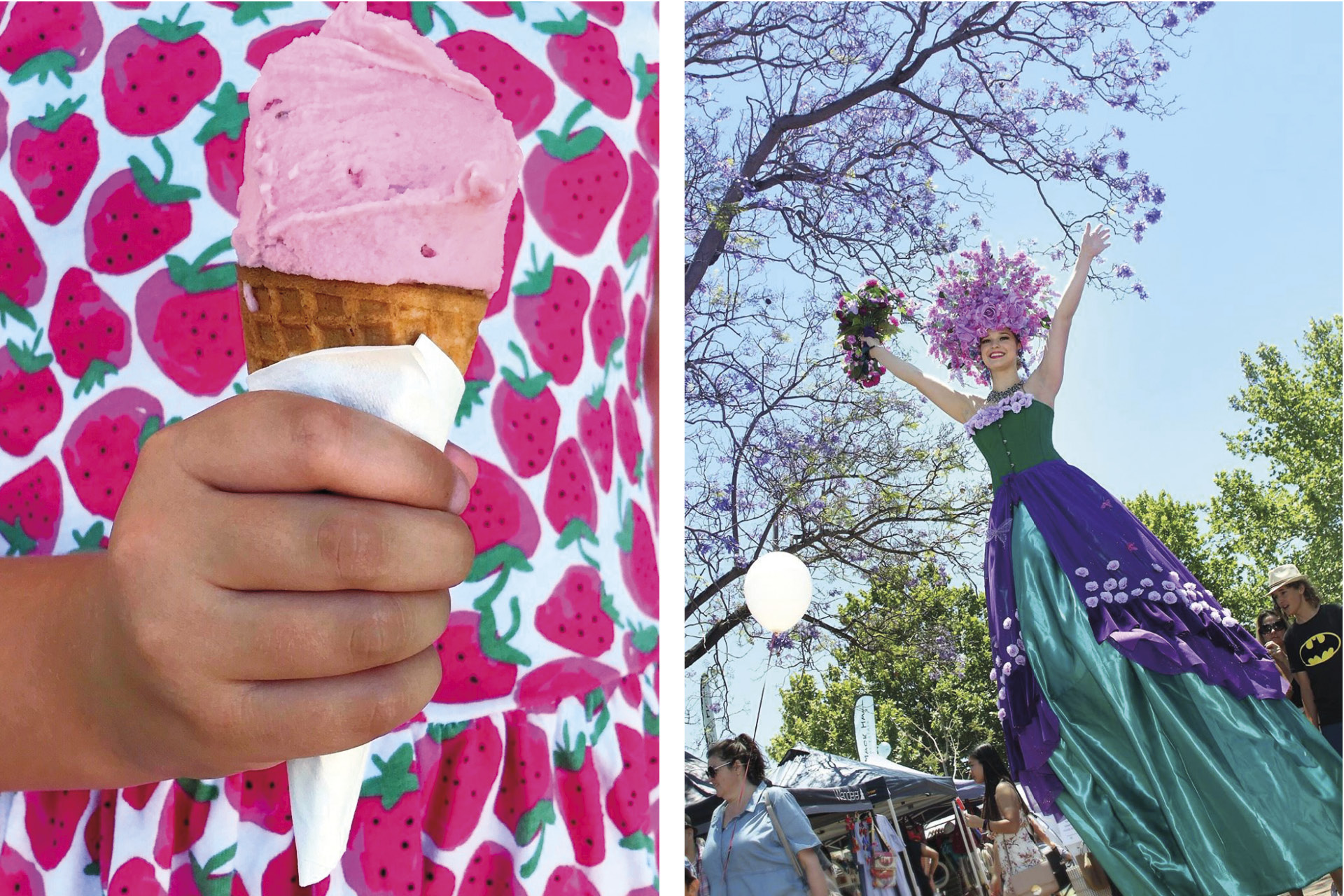 Applecross Jacaranda Festival • Rotary Down Under