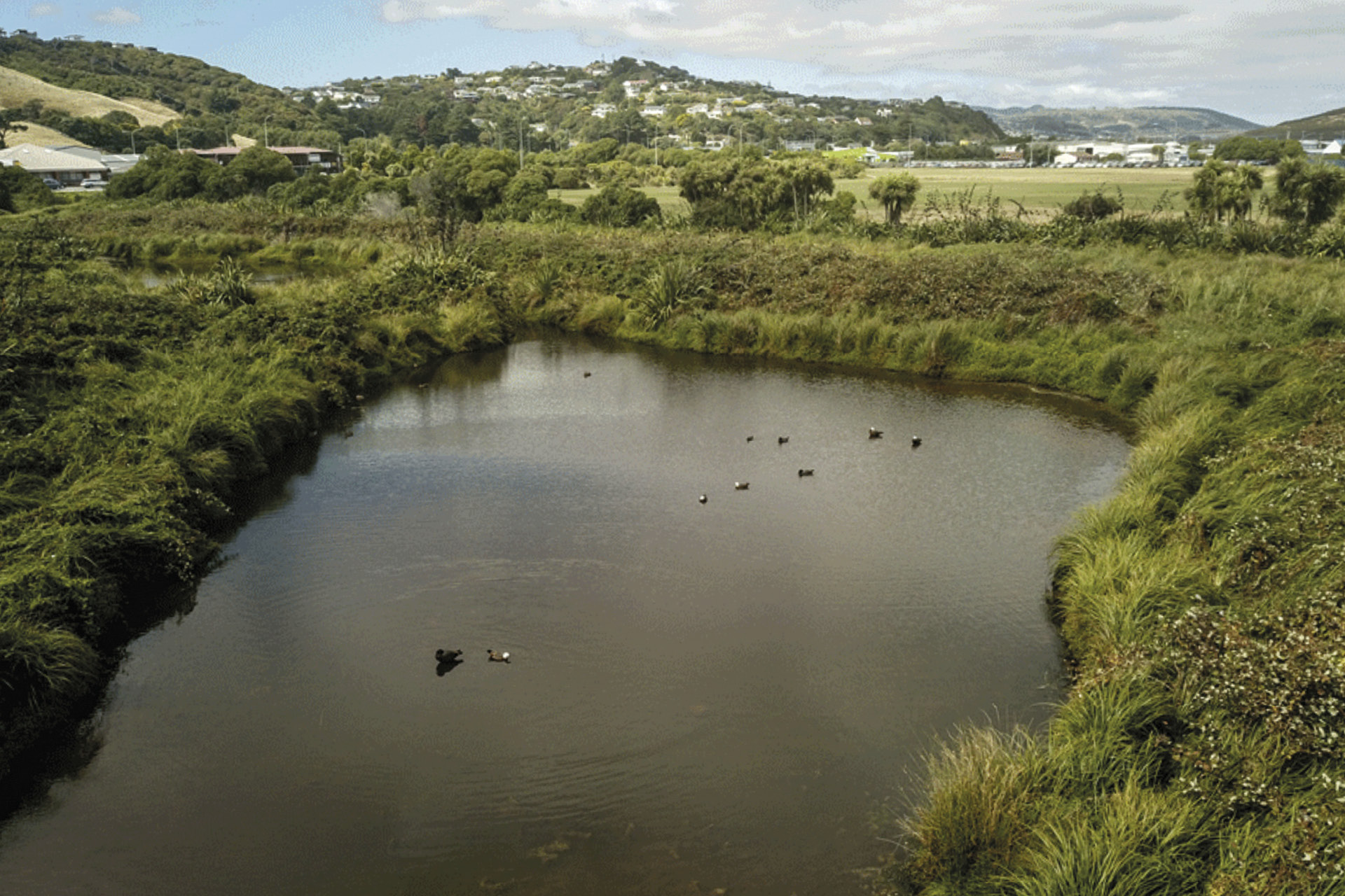 Partnering to preserve a unique environment • Rotary Down Under