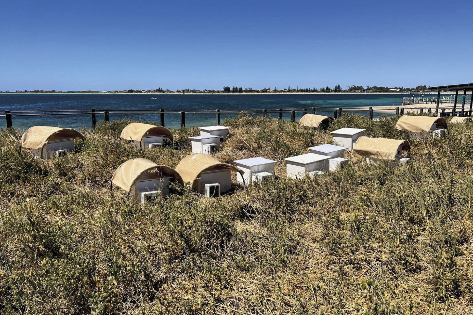 Revolutionising nesting boxes to save Little Penguin populations ...
