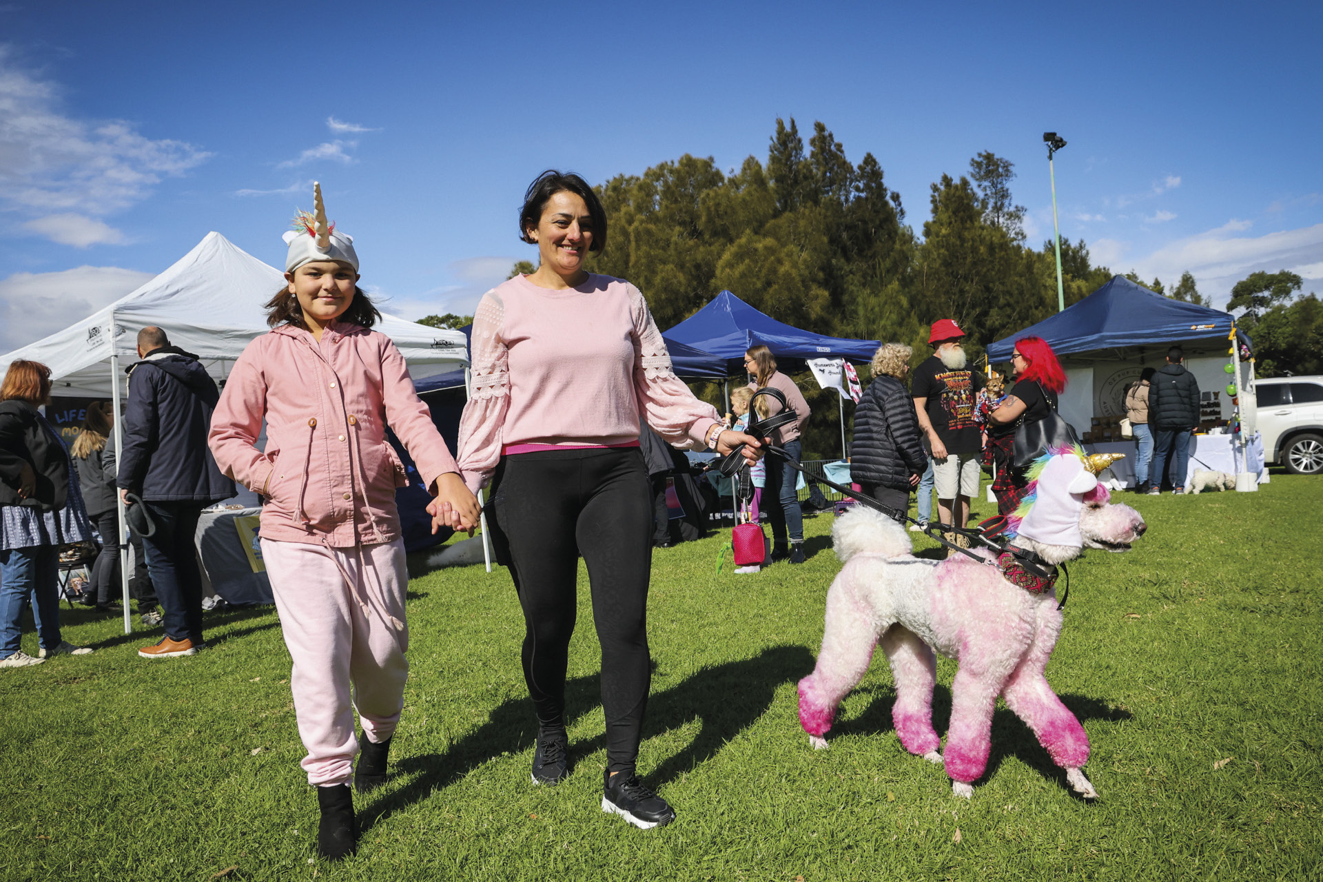 Paws4aCause Dog Show • Rotary Down Under