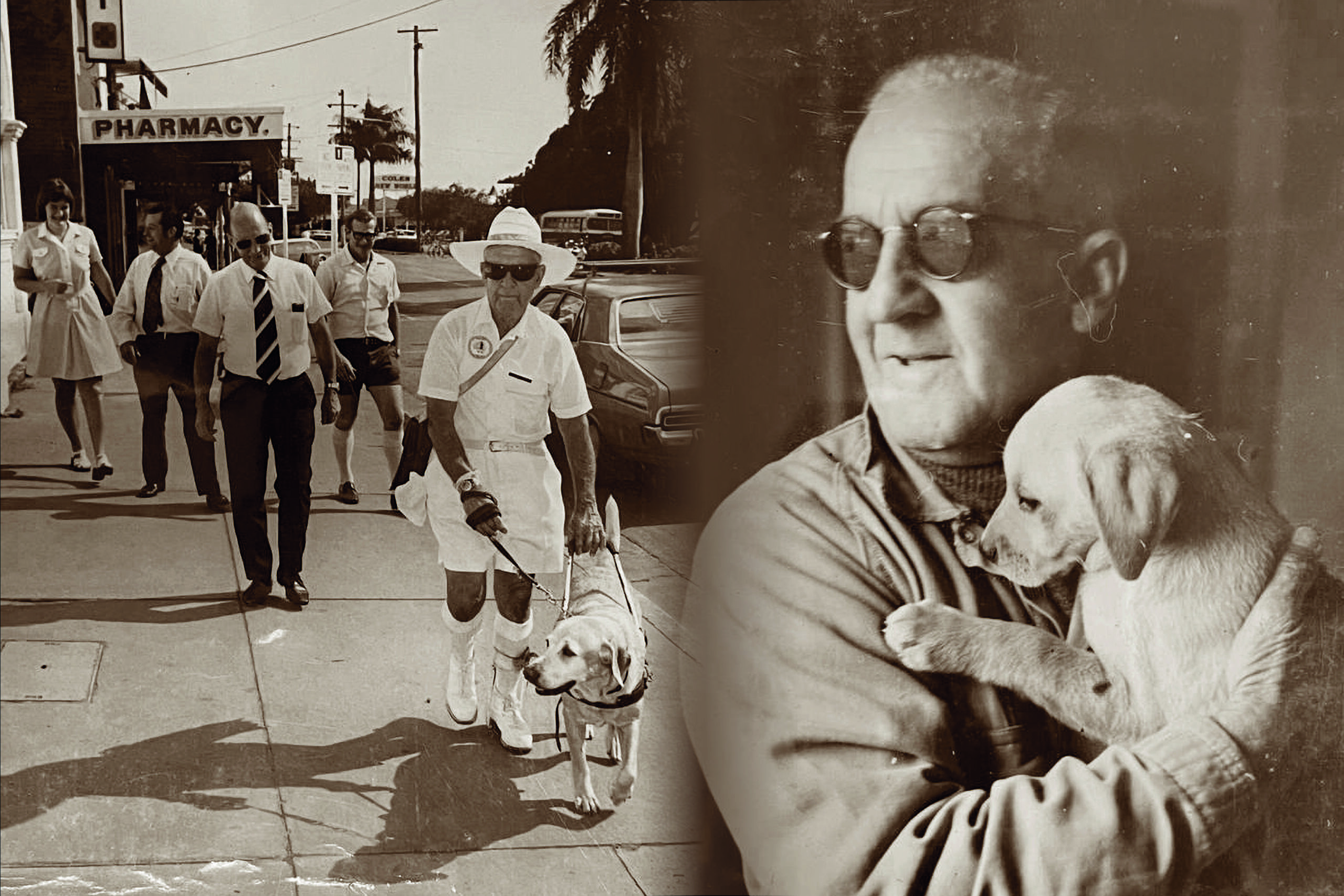 Mr Guide Dog: Rotary’s role in illuminating a guiding light • Rotary ...