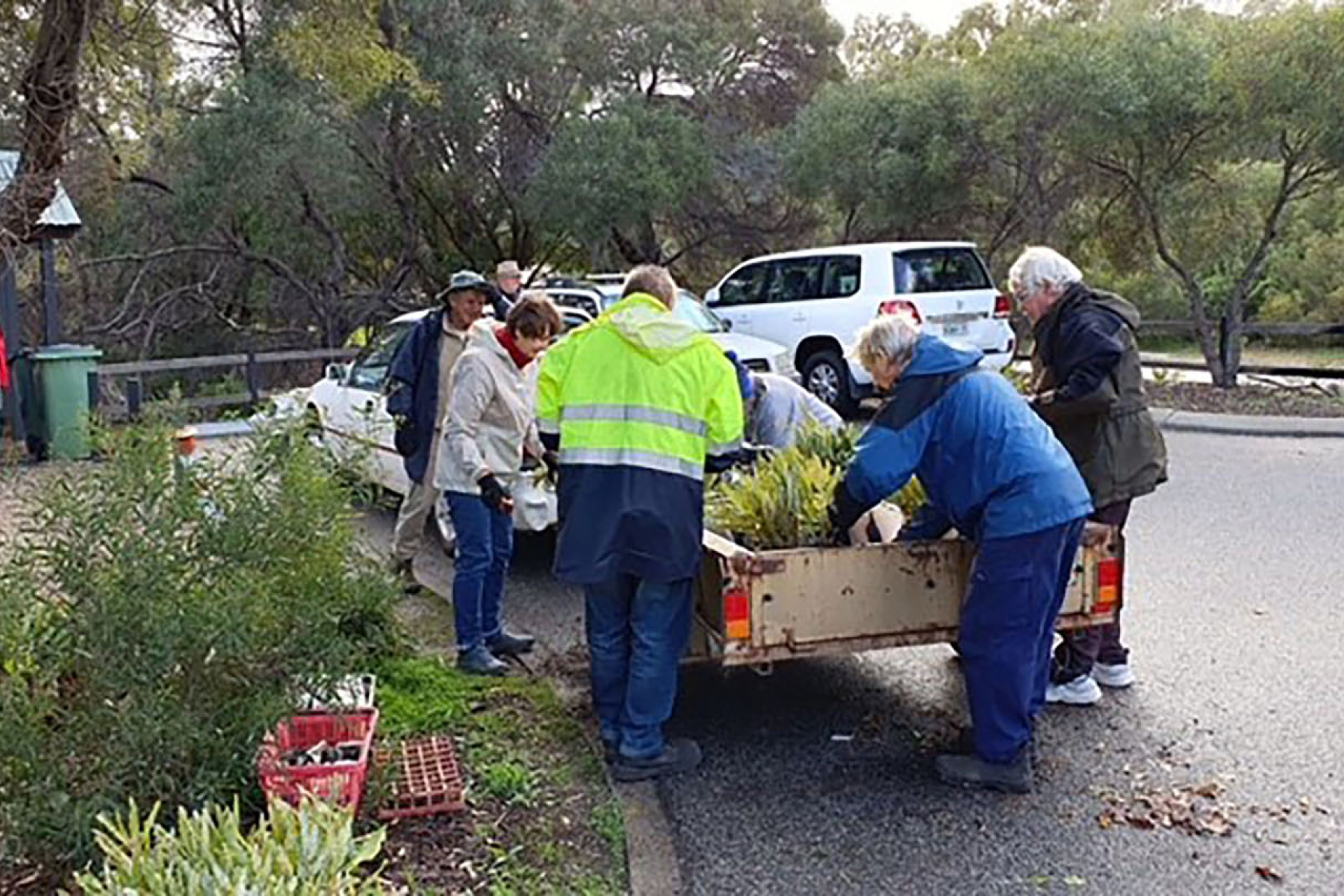 Supporting the environment one tree at a time • Rotary Down Under
