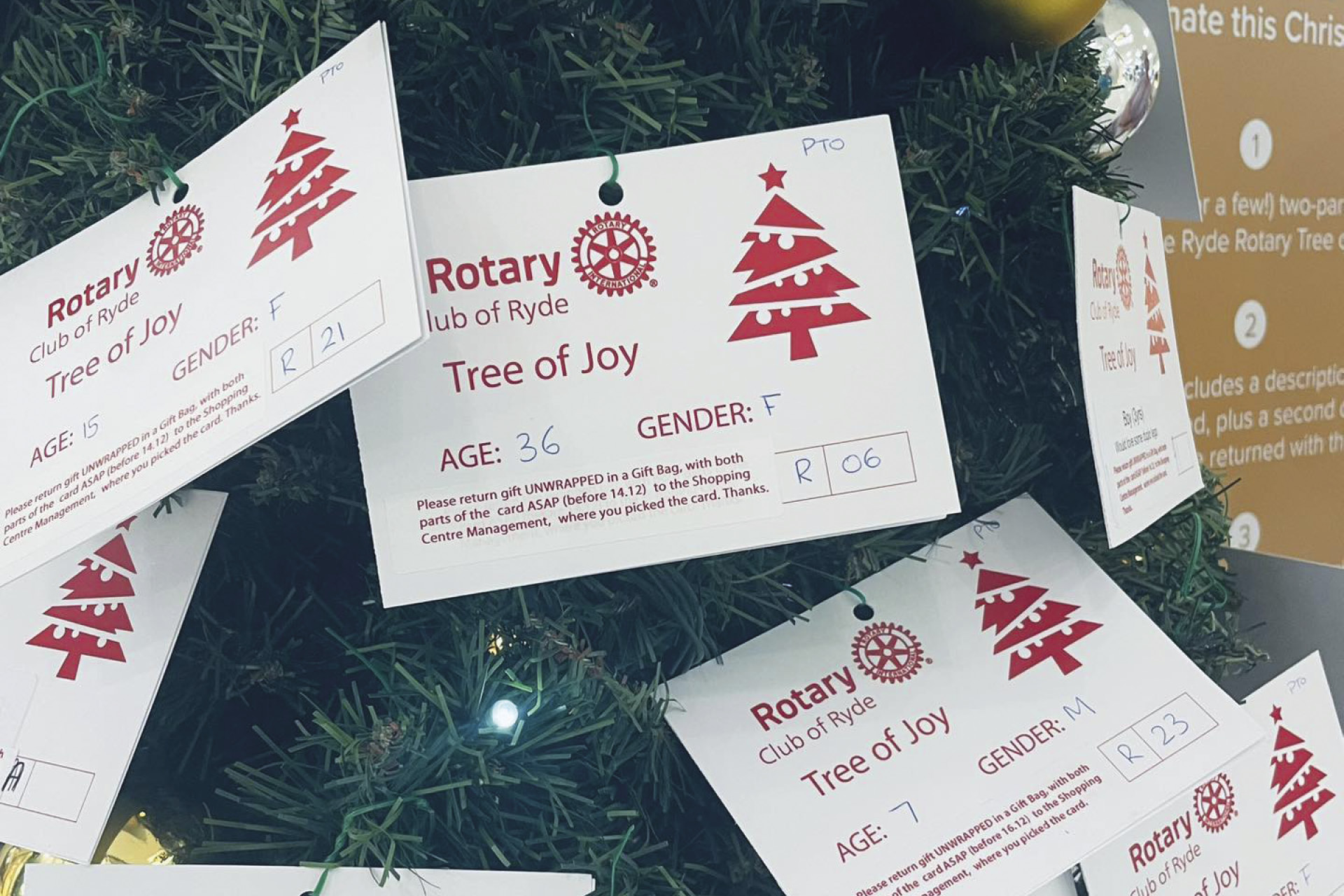 The Rotary Club of Ryde’s Trees of Joy are up for 2024! • Rotary Down Under