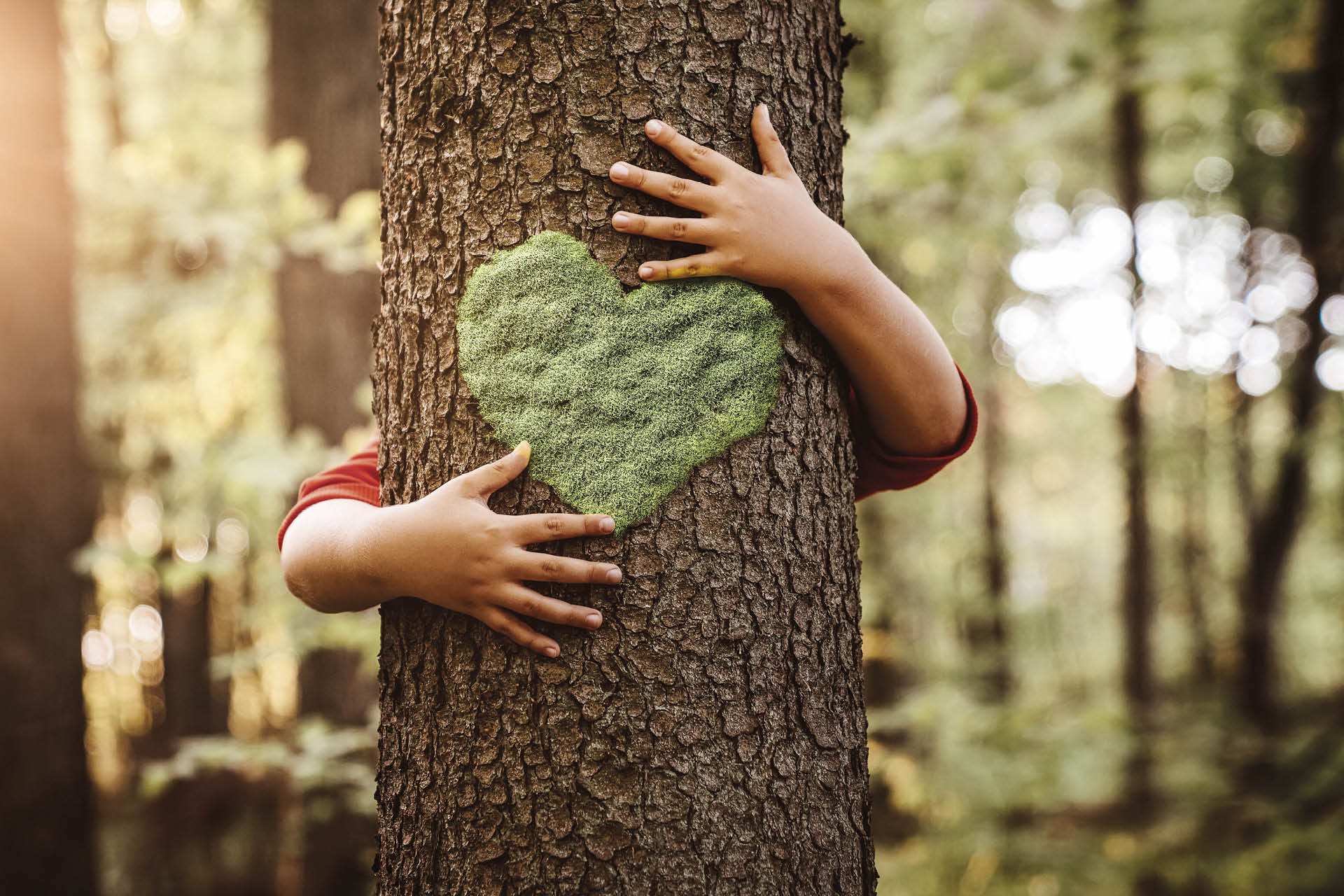 A Rotary first for environmental action • Rotary Down Under