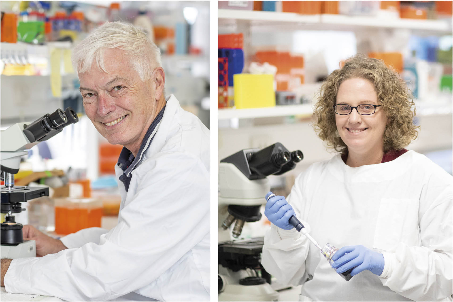 The Malaria Vaccine Project: Saving children’s lives • Rotary Down Under