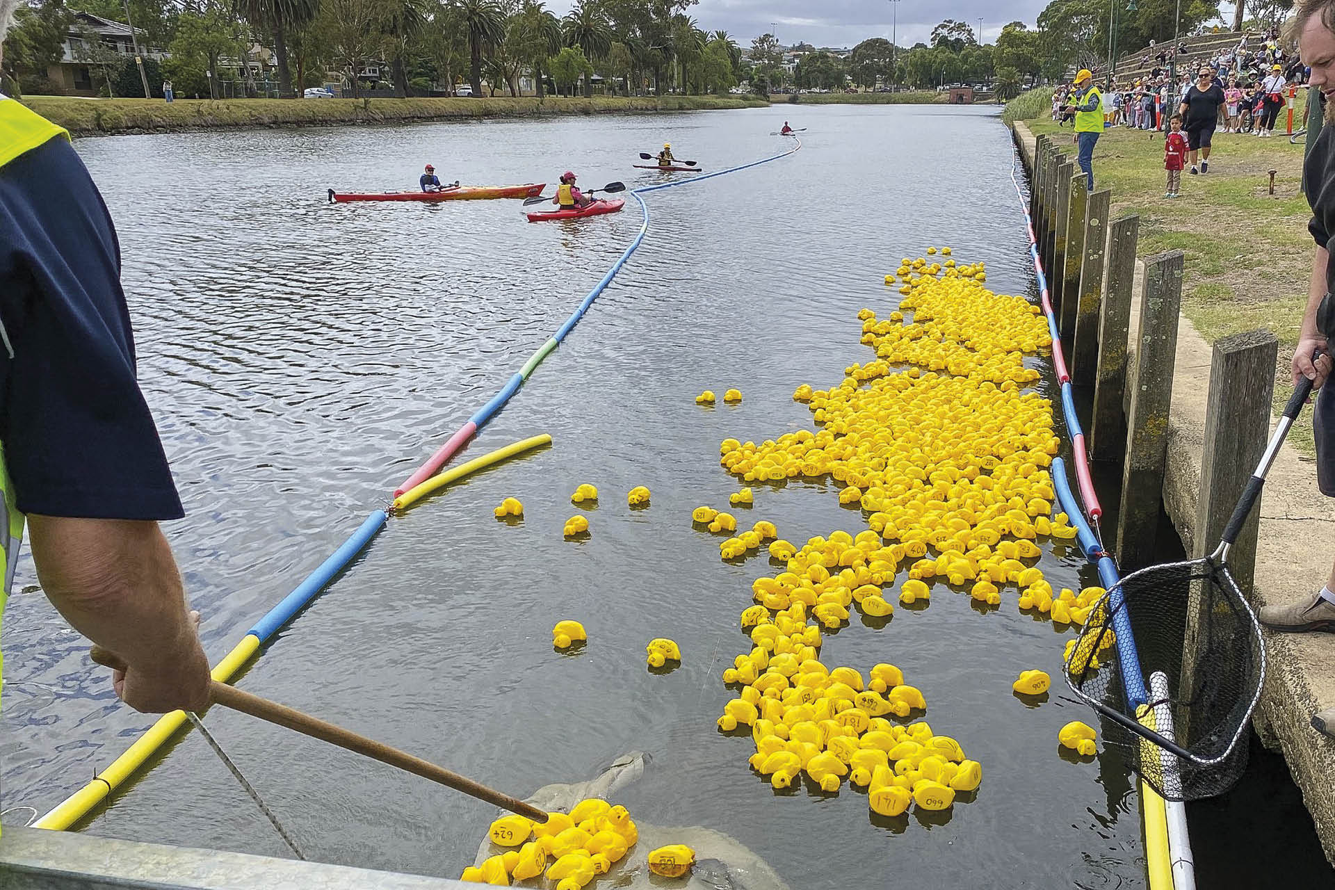 The Great Essendon Rotary Duck Race • Rotary Down Under