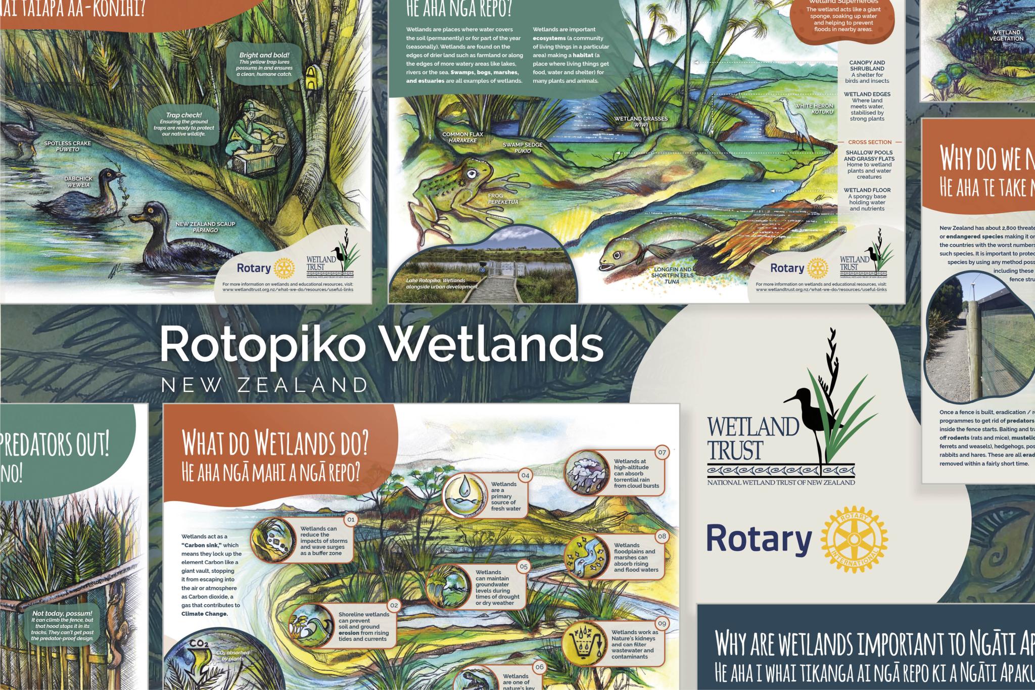 Wetland Warriors: Leading the way in conservation and education ...